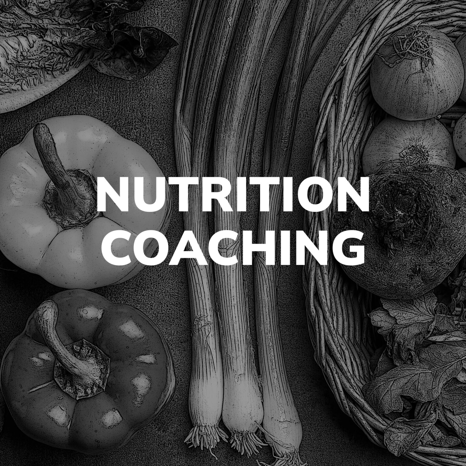 Performance Health & Fitness – Health Fitness Training Nutrition